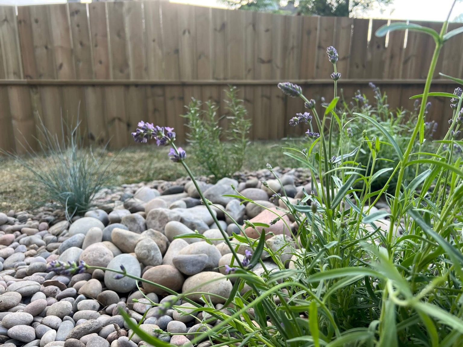 The Thinking Garden - George Heriots School